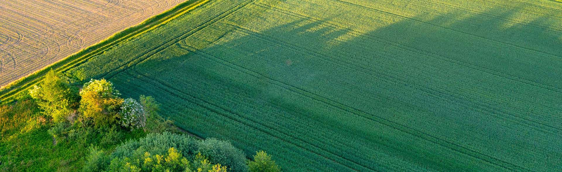 Quality Pre-Development Land Surveying Review and Research Services ...